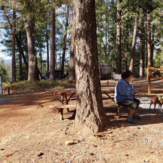 Ghost Mountain Ranch - Pollock Pines, California - RV LIFE Campground ...